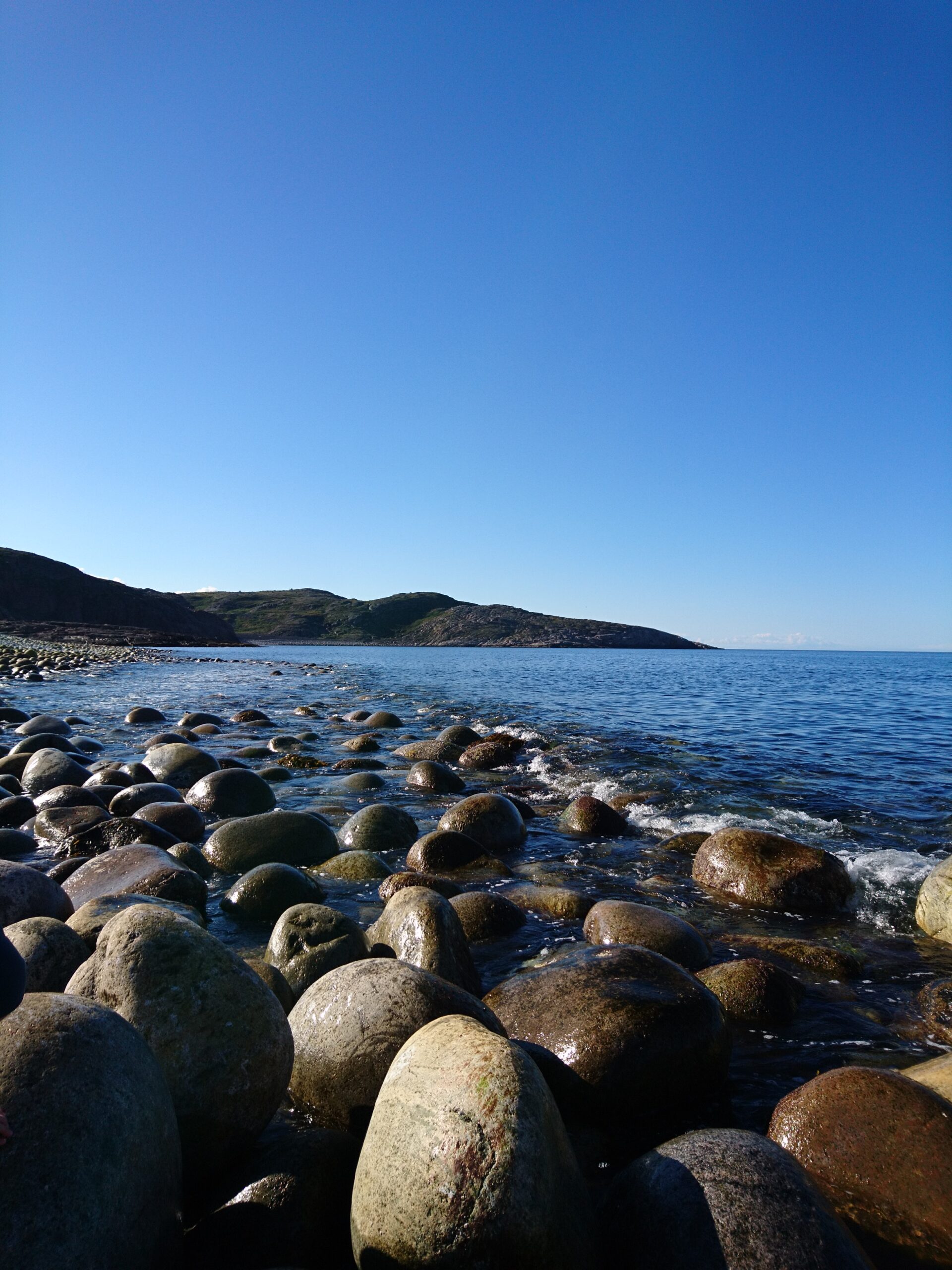 Море - Discover Barents 2020